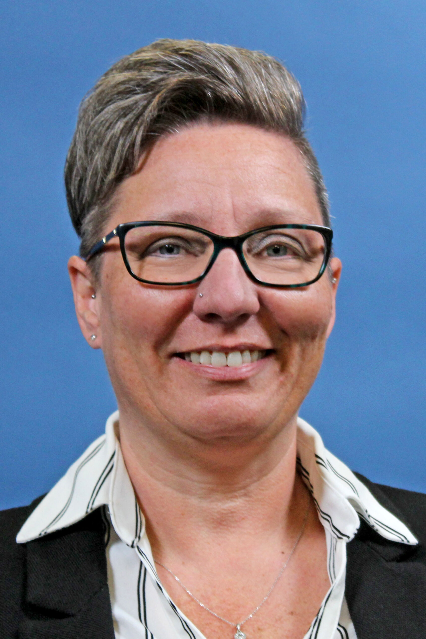 Commission on Indigent Defense Services - Indigent Defense Services